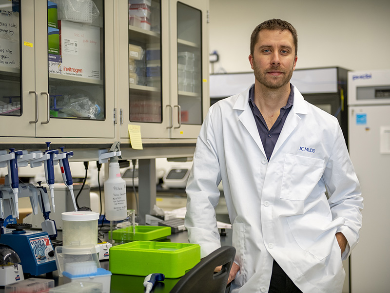 Could a common virus be a barrier to curing HIV? Tulane University ...