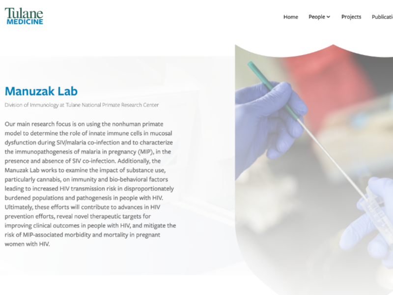 Easy-to-build lab web page templates debut at SoM | Medicine