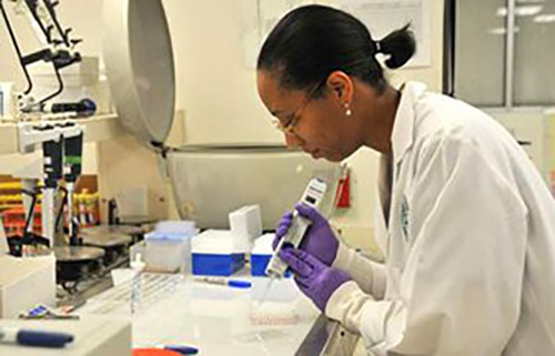 Histocompatibility & Immunogenetics Laboratory | Medicine